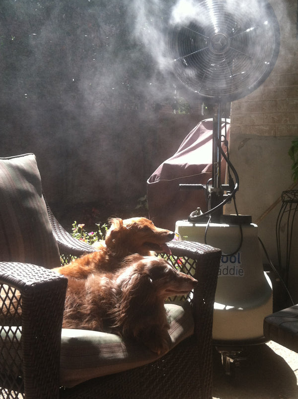 Cool Caddie-Self Contained Portable 1000 PSI Misting Fan 3 speed Mist ...